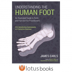 Understanding the Human Foot- Human Kinetics